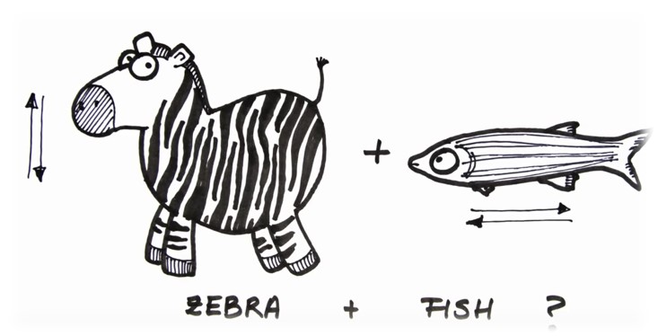 UZH - KFSP Small RNAs - Interdisciplinary Technical Journal Club